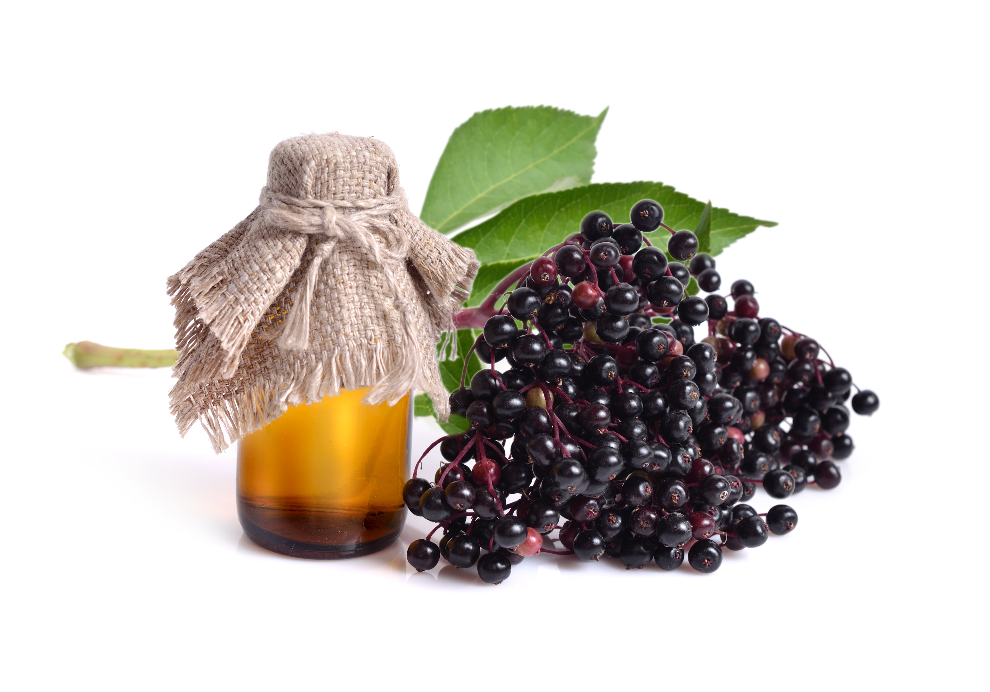 7 Berries You Should Eat Everyday – Traverse Bay Farms