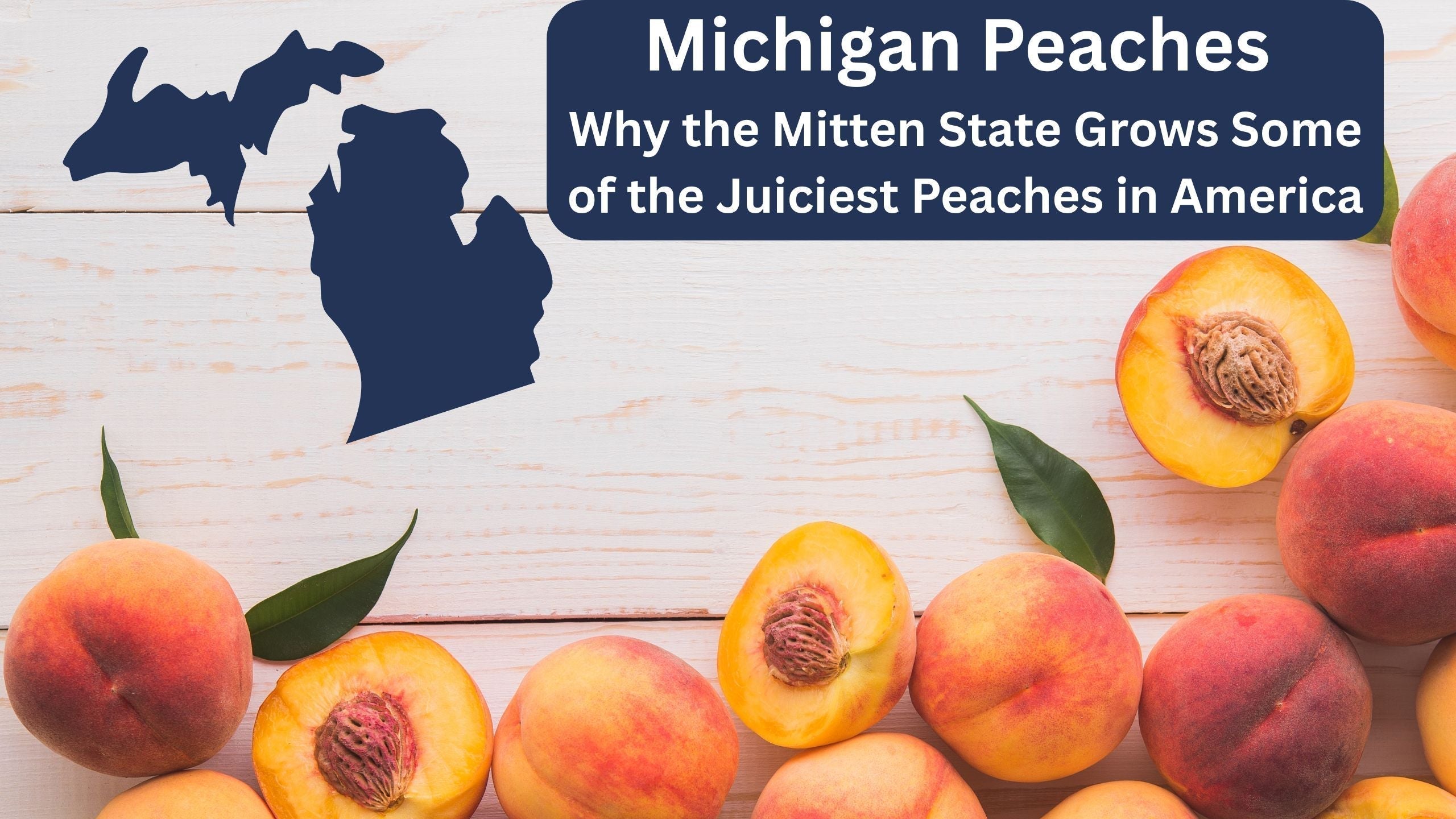 Michigan Peaches: Why the Mitten State Grows Some of the Juiciest Peac ...
